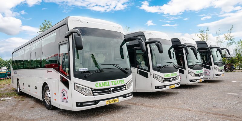 Hoi An to Phong Nha by Luxury Bus – Camel Bus Vietnam